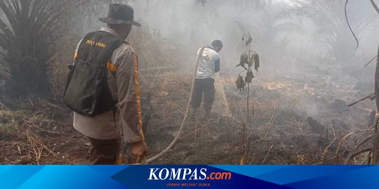 Sudah 3 Hari Tim Gabungan Berjibaku Padamkan Api Karhutla di Dumai, Pembakar Lahan Diburu