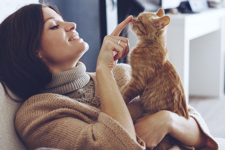7 Tanda Kucing Sedang Merasa Bahagia, Apa Saja?
