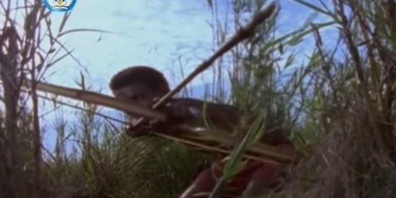 Apa Maksud Anak-anak di Hutan Wasur, Papua Hidup di Rumah Luas