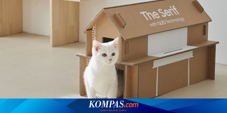 Kurangi Limbah, Samsung Desain Kardus Rumah Kucing untuk Produk TV