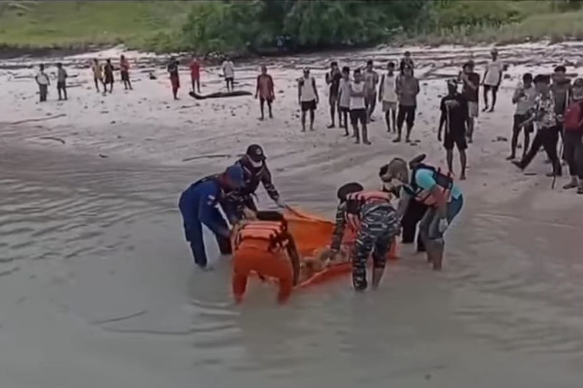 Penjelasan Tim SAR soal Korban Banjir Bima NTB Ditemukan di Pink Beach NTT