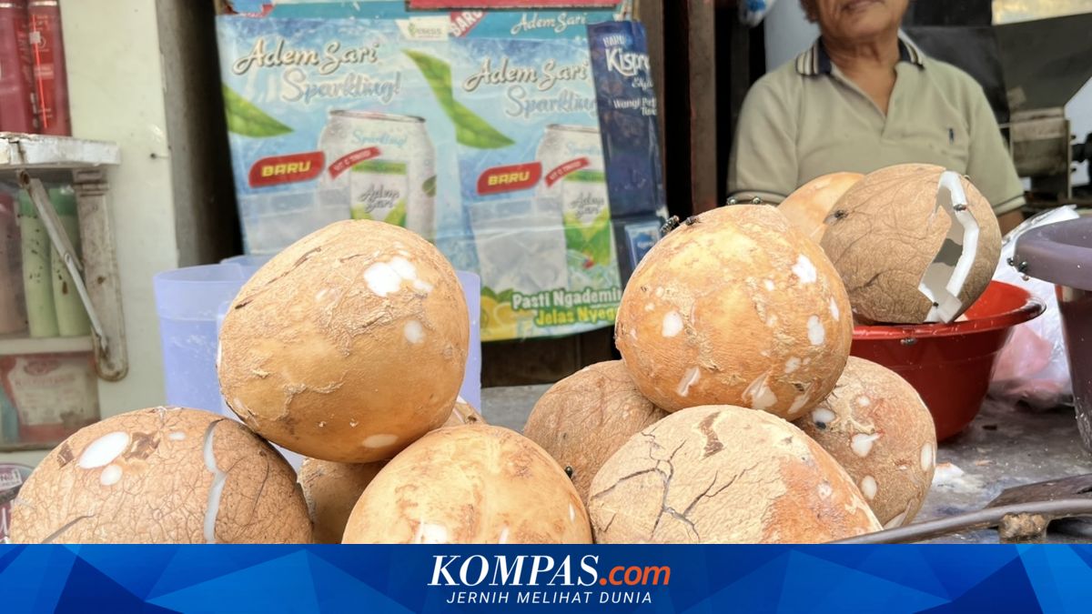 Harga Kelapa Bulat Masih Rp 20.000 Per Butir, Pedagang: Stoknya Berkurang