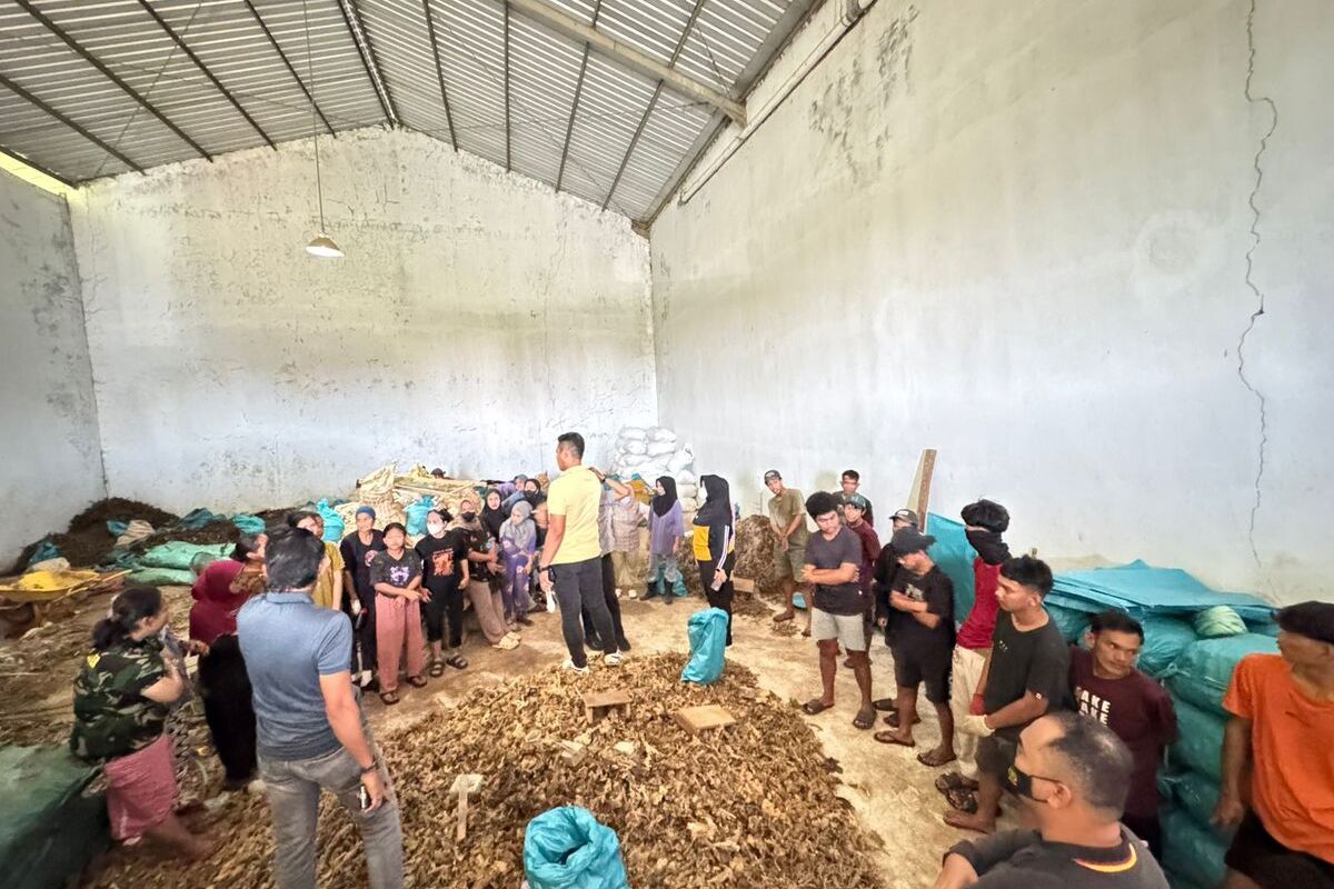 Penyelundupan Bambu Laut dari Makassar Digagalkan, WN China Diburu Polisi