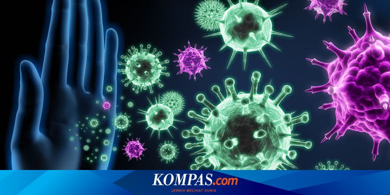 Mengenal 3 Lapisan Imunitas yang Akan Lindungi Tubuh saat Diserang Patogen