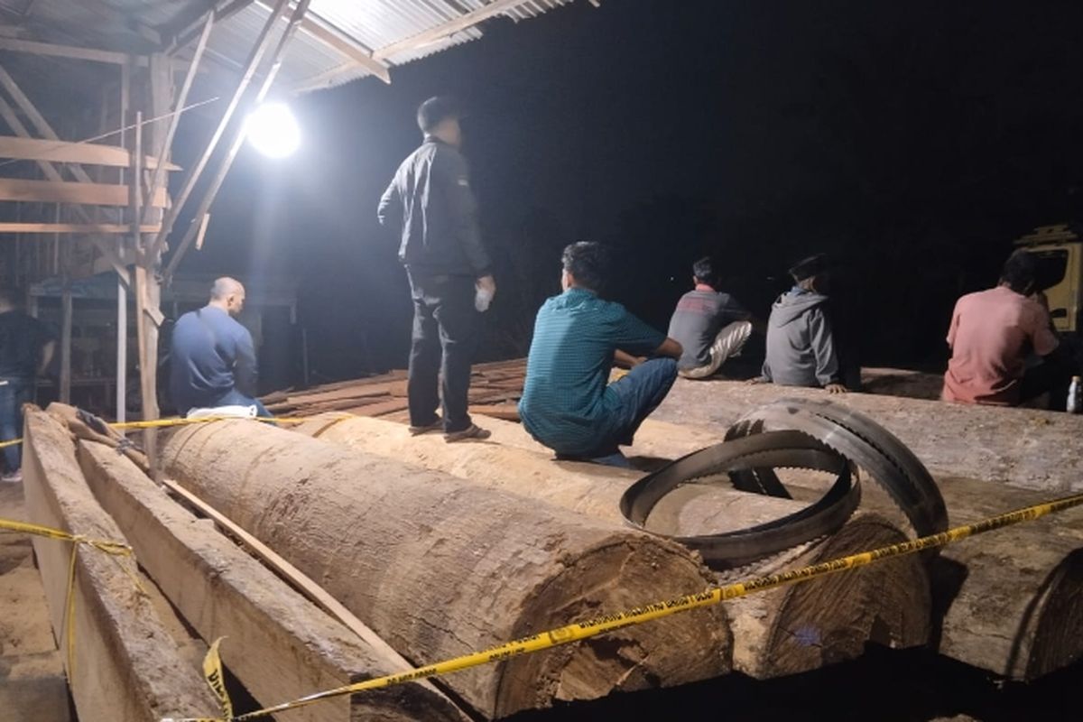Polisi Gerebek Tempat Pengolahan Kayu Ilegal di Kampar Riau, 5 Orang Ditangkap