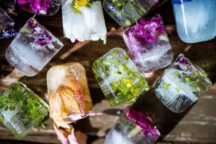 5 Cara Simpan Edible Flower agar Awet, Pakai Container sampai Air Gula