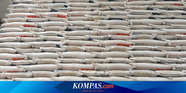 Butuh 25 Kapal untuk Angkut 500.000 Ton Beras Impor ke Indonesia