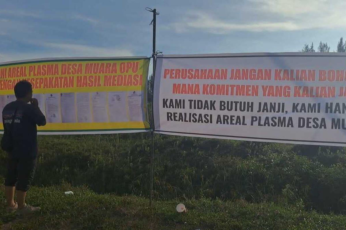 Tuntut Hak Plasma, Warga Muara Upu Nginap Berhari-hari di Kebun Sawit