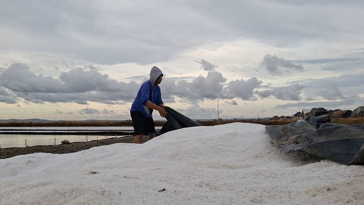 Limbah Produksi Garam Berpotensi untuk Industri Farmasi, tapi..