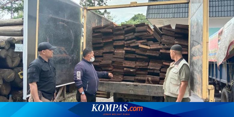 5 Orang Sopir hingga Kernet Truk Ditangkap, Diduga Bawa Kayu Ilegal Berasal dari Hutan Lindung ...