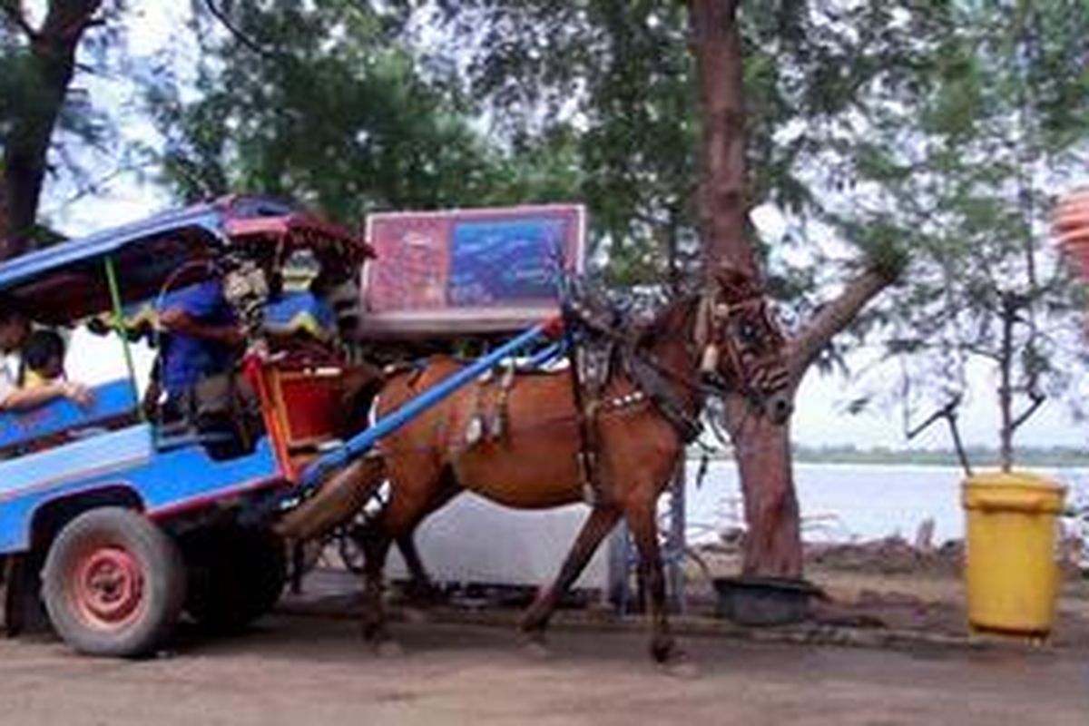 Kereta Kuda Cidomo Trawangan Akan Diganti "Golf Car"