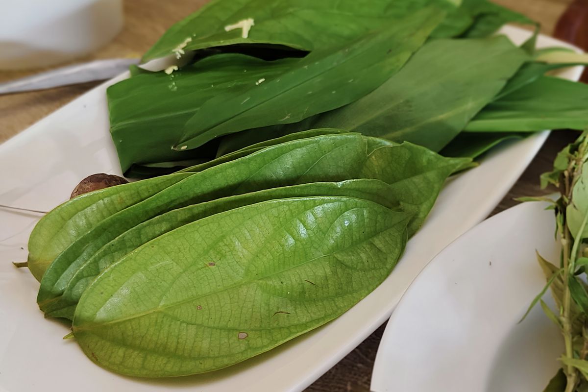 3 Daun Penyedap Masakan dari Hutan Kalimantan, Ada Daun Empangau
