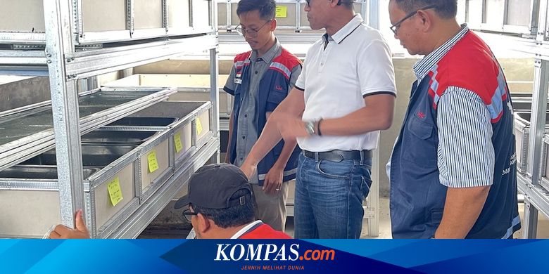 Dengan Metode BFS, Sampah di Rest Area Diolah Jadi Pupuk Organik