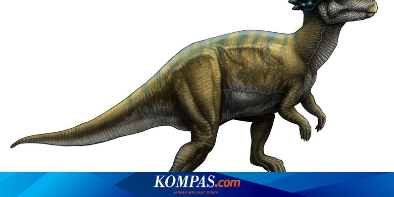 Jenis Dinosaurus dan Nama-Namanya, Tidak Hanya T-Rex