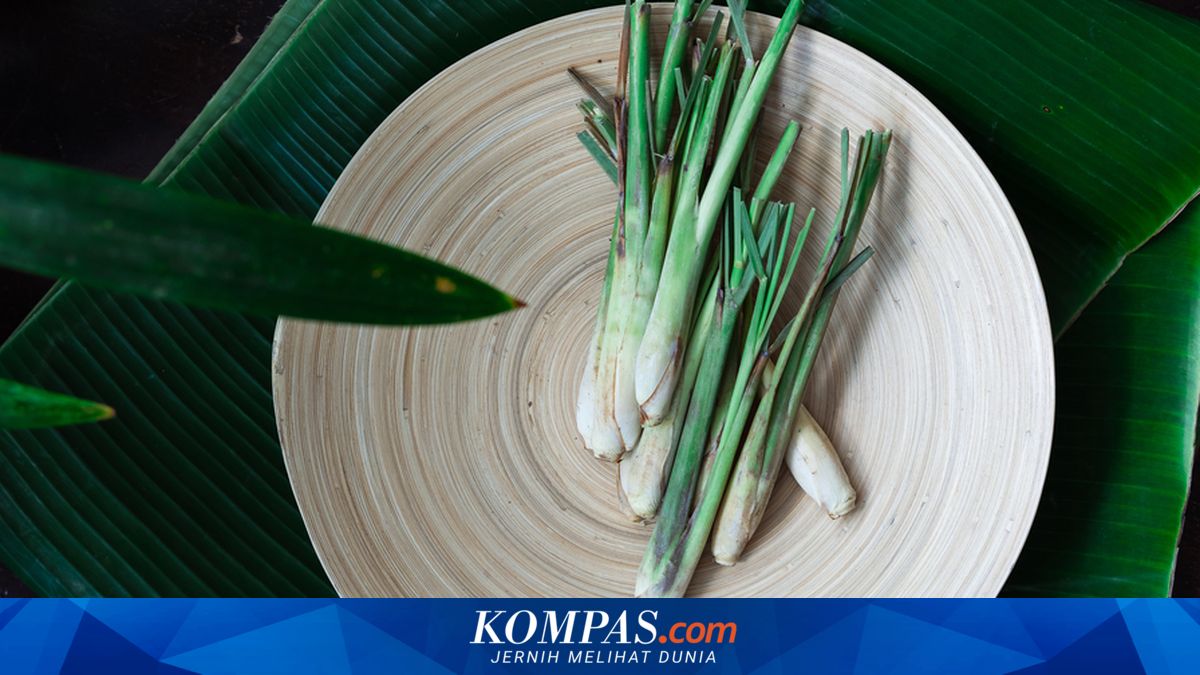 3 Cara Pilih Serai yang Bagus, Amati Bagian Batangnya