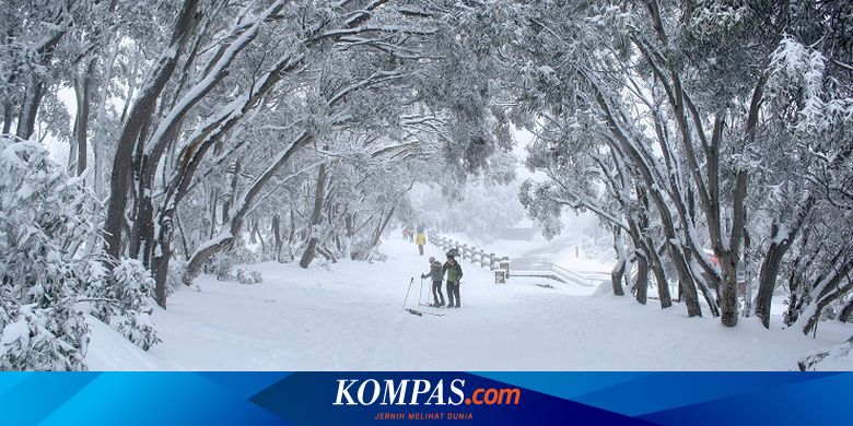 Ini Waktu Terbaik untuk Liburan Musim Dingin di Australia