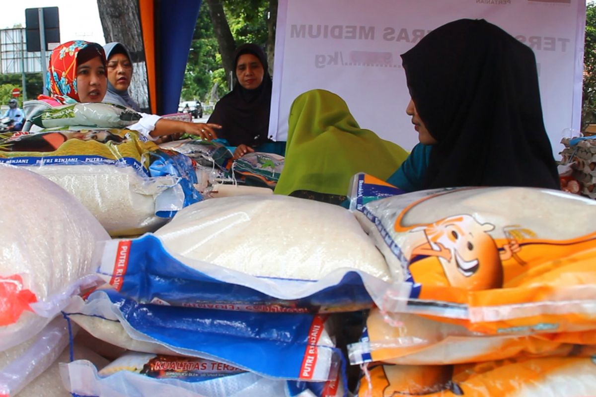 Stok Aman, NTB Tidak Membutuhkan Beras Impor