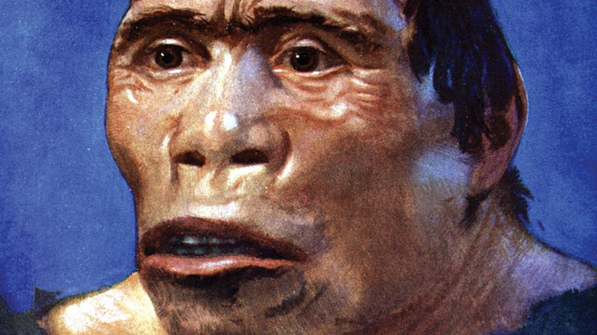 Pithecanthropus Erectus: Penemuan, Ciri-ciri, dan Kontroversi