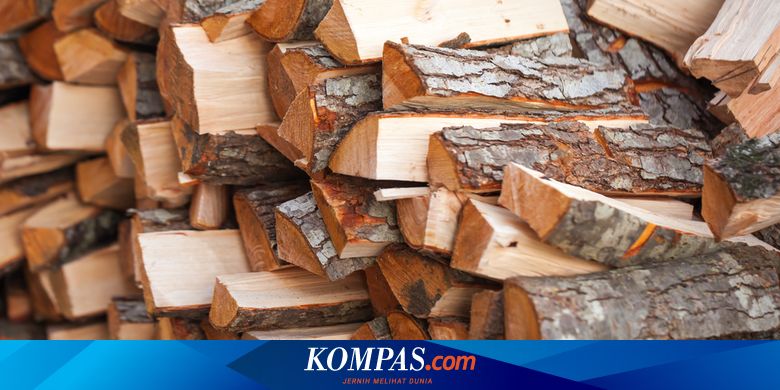 Alasan Kayu Rambutan Bagus untuk Masak Menurut Chef