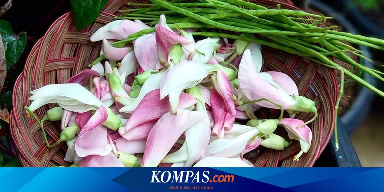 Sederet Manfaat Bunga Turi bagi Kesehatan