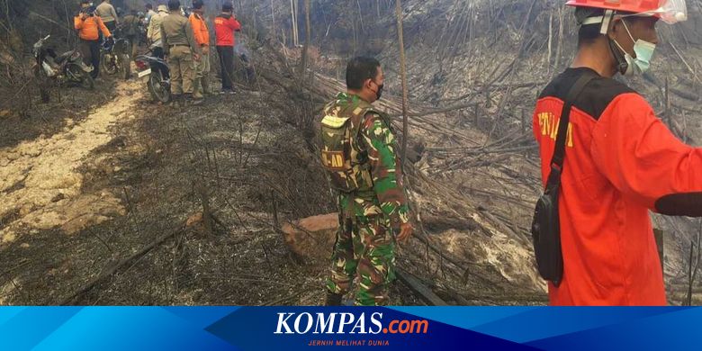 Kebakaran Hutan Lindung di Riau Diduga Disengaja, Ini Temuan Polisi