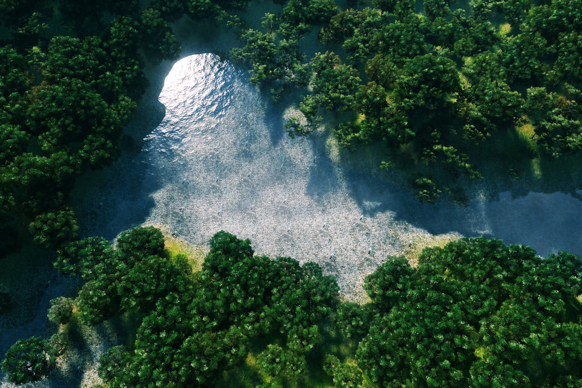 Apa Pengertian Ekosistem Alami? Berikut Penjelasannya