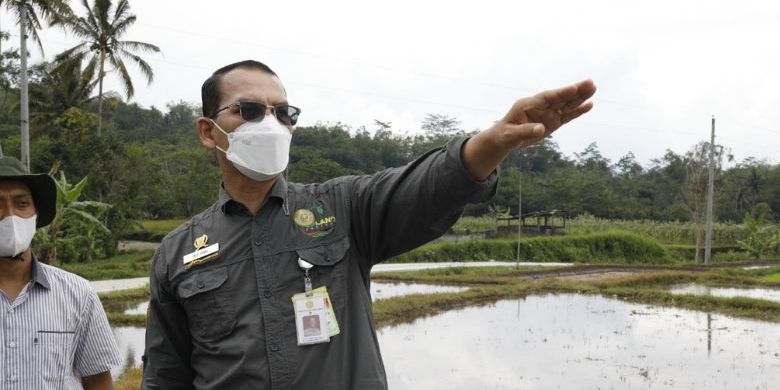 Program JUT dari Kementan Dorong Sektor Pertanian Berkembang Pesat