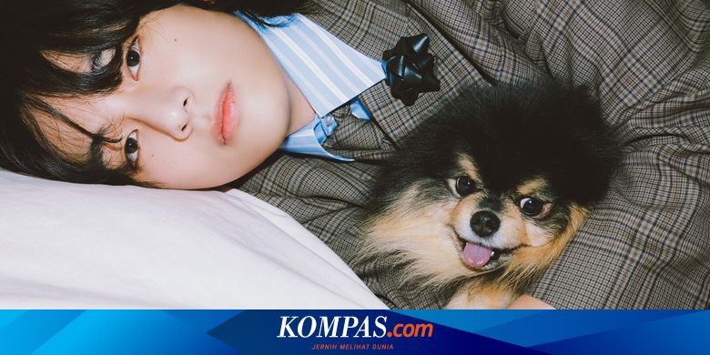 V BTS Terinspirasi Album Pink Tape f(x) untuk Debut Solonya