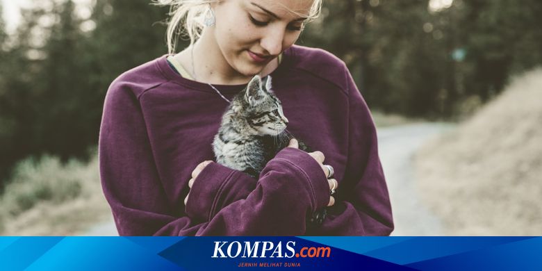 Pencinta Kucing Lebih Emosional, Benarkah?