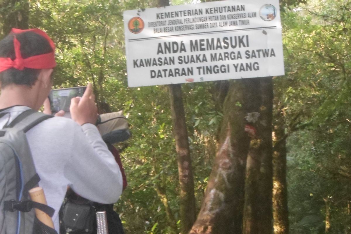 BKSDA Jatim Larang Pendakian "Tektok" di Gunung Argopuro: Normalnya ...
