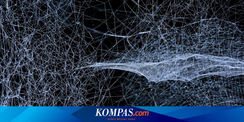 Tips Menghindari Jaring Laba-laba Muncul di Sudut Rumah