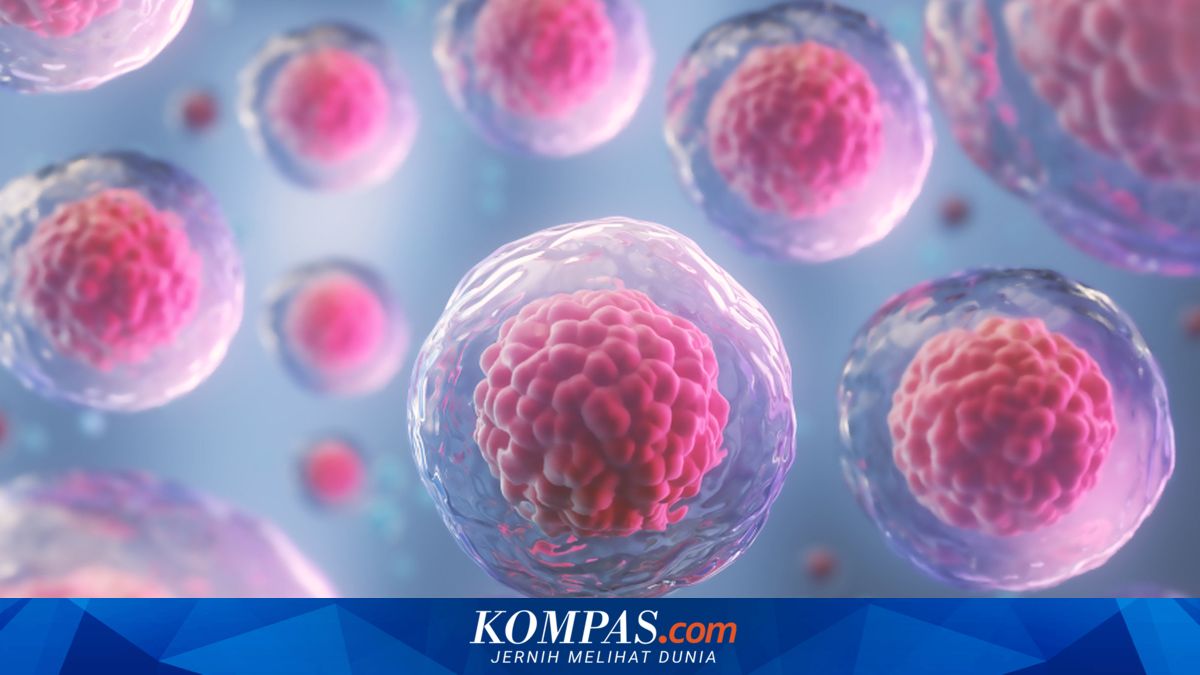 Ilmuwan Temukan "Timer Kematian" dalam Sel Tubuh Manusia, Apa Itu?
