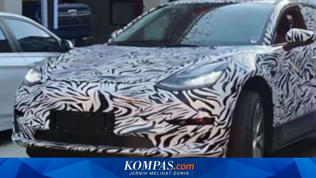 Tesla Kembangkan Mobil Listrik Hatchback dengan Harga Lebih Murah