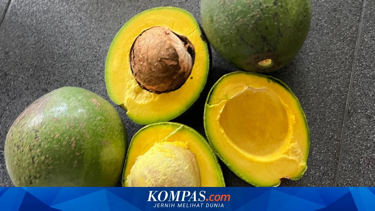 8 Tips Memilih Alpukat Matang agar Tidak Salah Beli