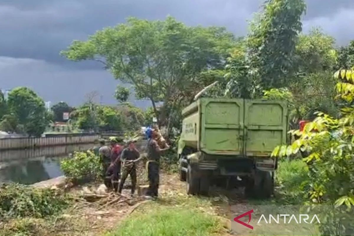 Diduga Jadi Lokasi Prostitusi, Taman di Jalan Daan Mogot Dipenuhi ...