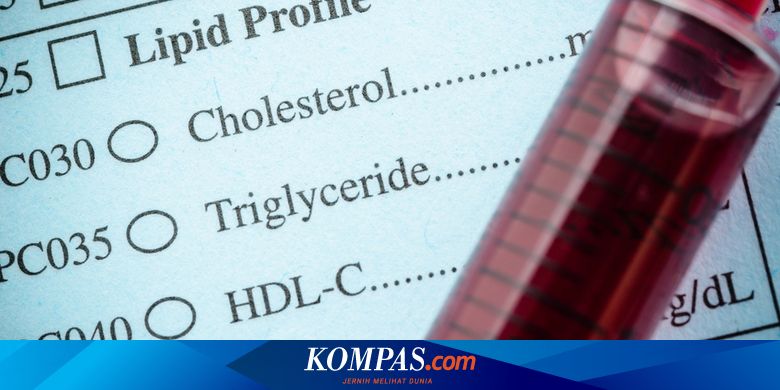 Bagaimana Cara Menurunkan Kadar Trigliserida yang Tinggi?