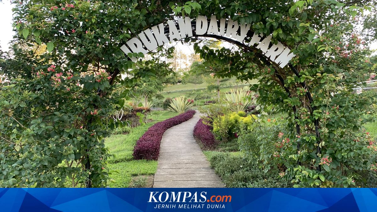 5 Tempat Wisata di Alahan Panjang, dari Danau hingga Peternakan Sapi Perah