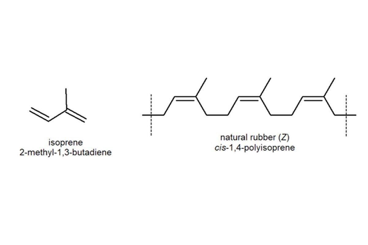 Polimer Karet Alam: Pengertidan dan Polimerisasinya