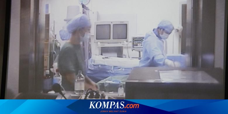 Terapi Sel Punca Tawarkan Harapan Kesembuhan