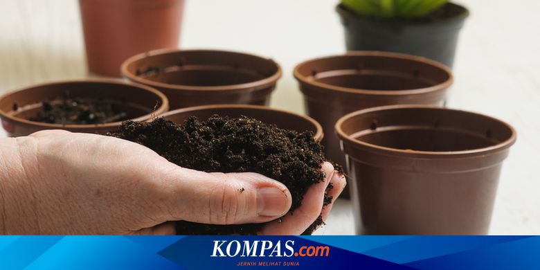 Cara Membuat Media Tanam yang Subur untuk Ragam Tanaman Hias