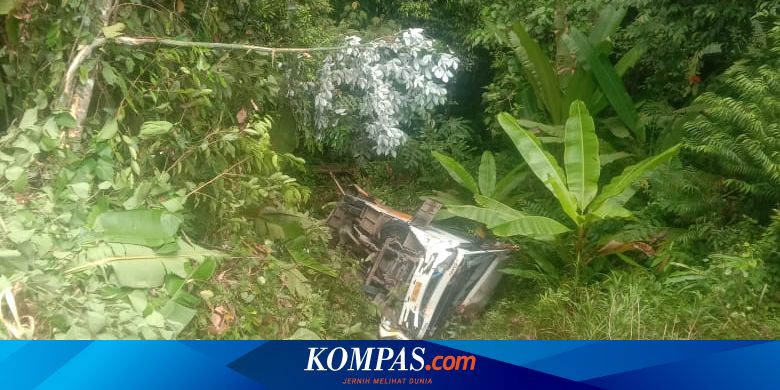 Insiden Bus DAMRI di Tana Tidung, Manajemen Minta Maaf dan Janji ...