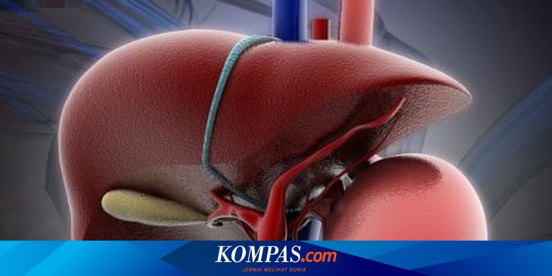 Apa Saja Jenis Penyakit Hati? Ini Daftarnya yang Harus Diwaspadai...