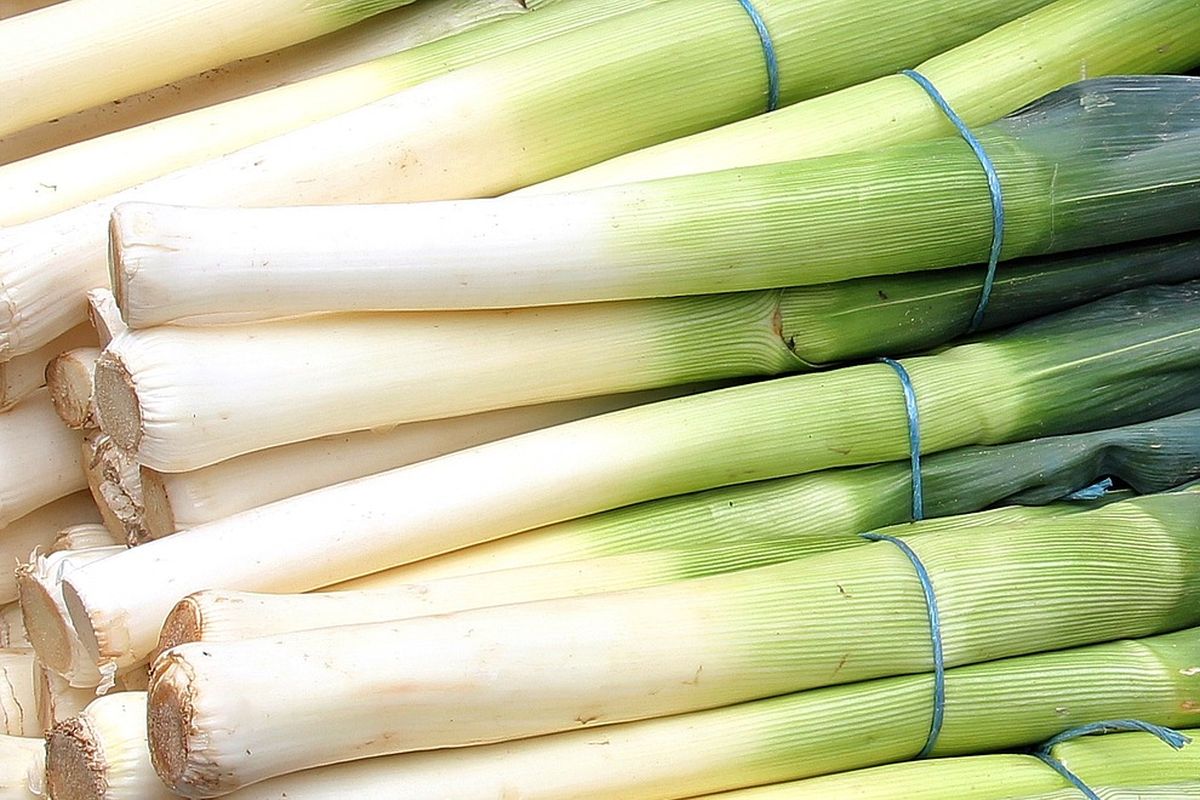 4 Beda Daun Bawang dan Bawang Prei yang Terlihat Sangat Mirip