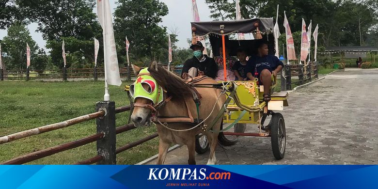 Panduan Lengkap Aktivitas Seru di JJ Park and Play Semarang