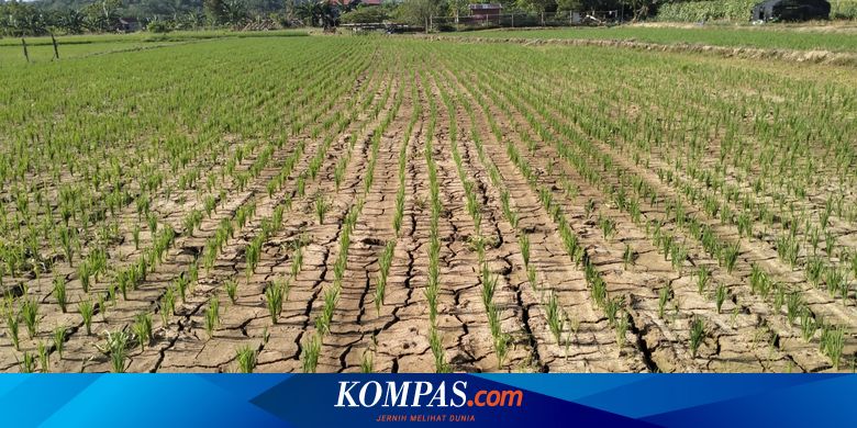 3 Kecamatan di Sragen Kekeringan dan Krisis Air Bersih
