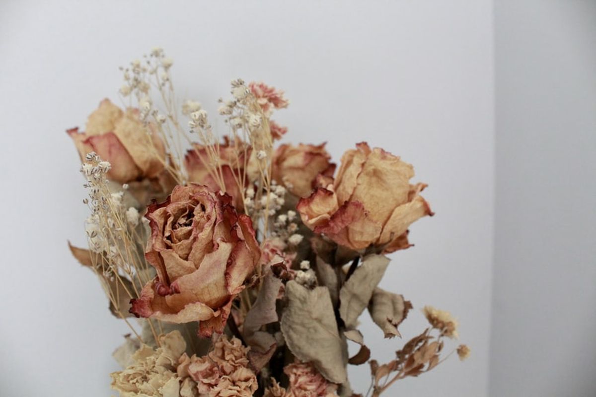 7 Jenis Bunga yang Cocok Dikeringkan untuk Dekorasi Ruangan