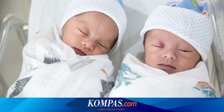 Apa Penyebab Terjadinya Bayi Kembar?
