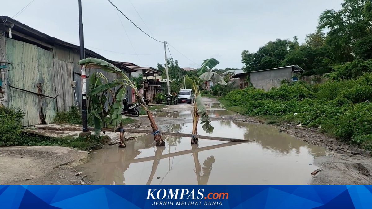 Jalan Raya Hancur dan Berkubang, Warga Majene Tanam Pisang