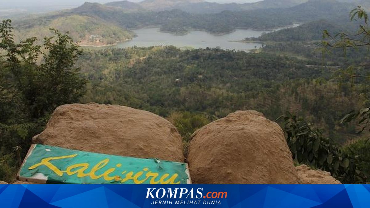 Bukit Kalibiru, Sensasi Petualangan dan Keindahan Alam