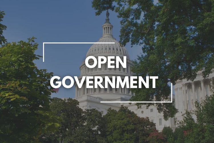 Open Government: Pengertian, Prinsip, dan Contoh Negaranya